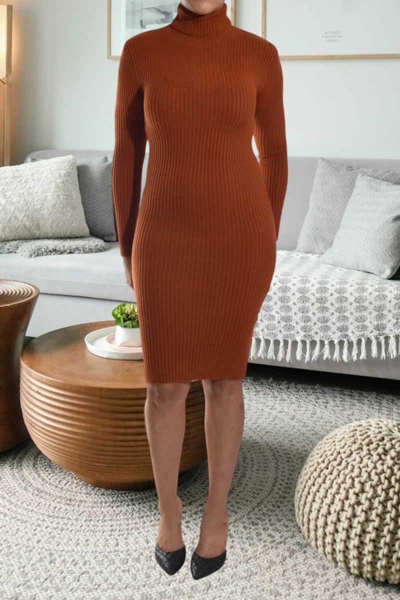 Rust Polo Neck Dress – StylePhase SA